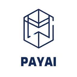 PAYAI Token | $0.0207 | solana DEX Trading raydium
